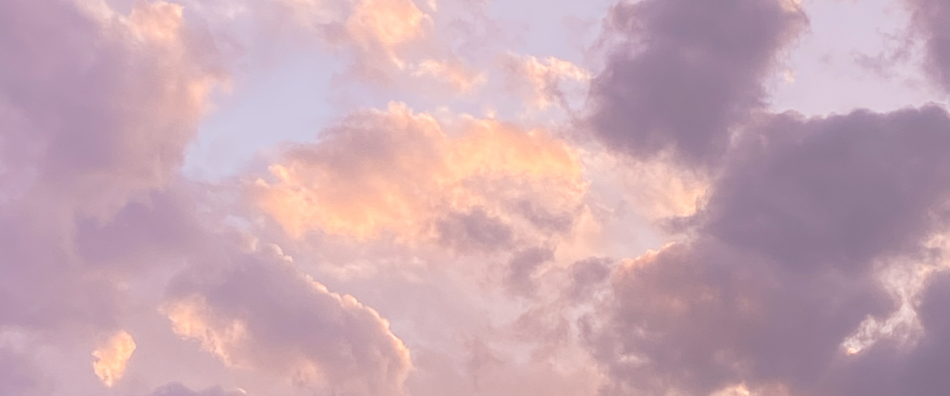 EE System Research - The Healing Realm